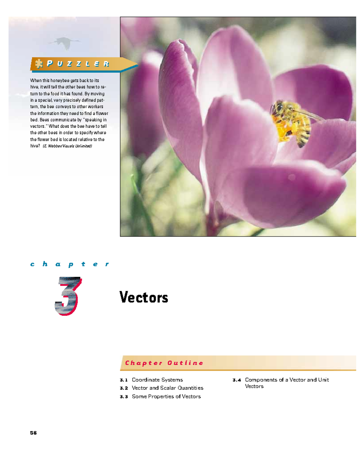 03 - Vectors - Matematicas - ####### c h a p t e r Vectors 3 Coordinate ...
