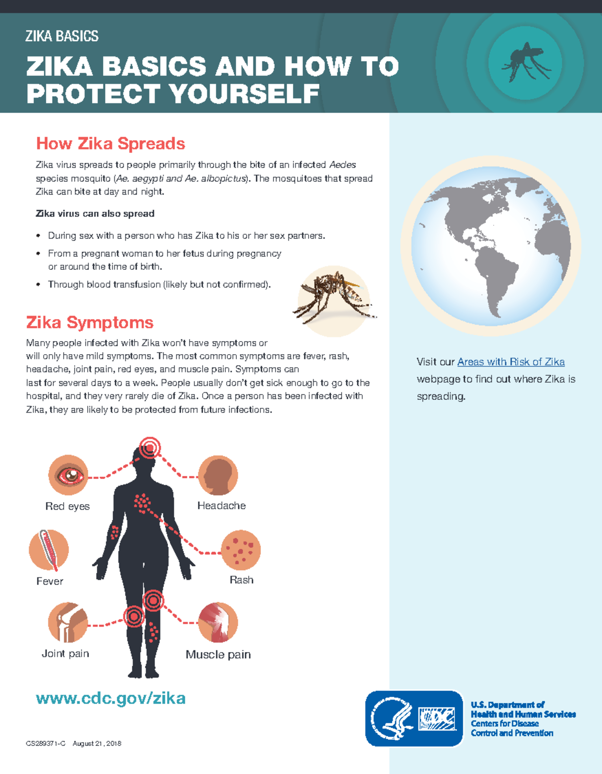 Zika virus - BASICS - ZIKA BASICS cdc/zika How Zika Spreads Zika virus ...