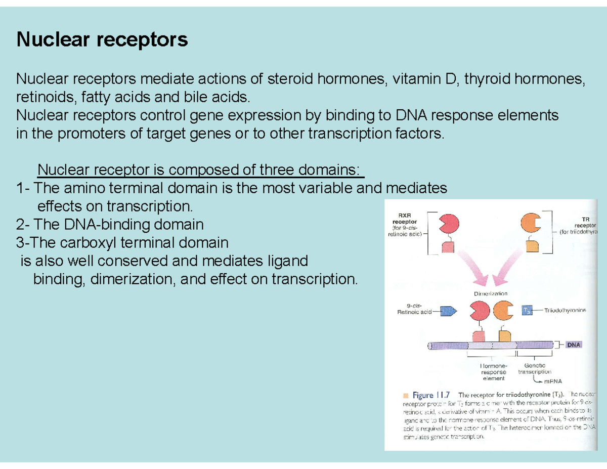 Physio- Endocrine Glands-A5 - Nuclear receptors Nuclear receptors ...