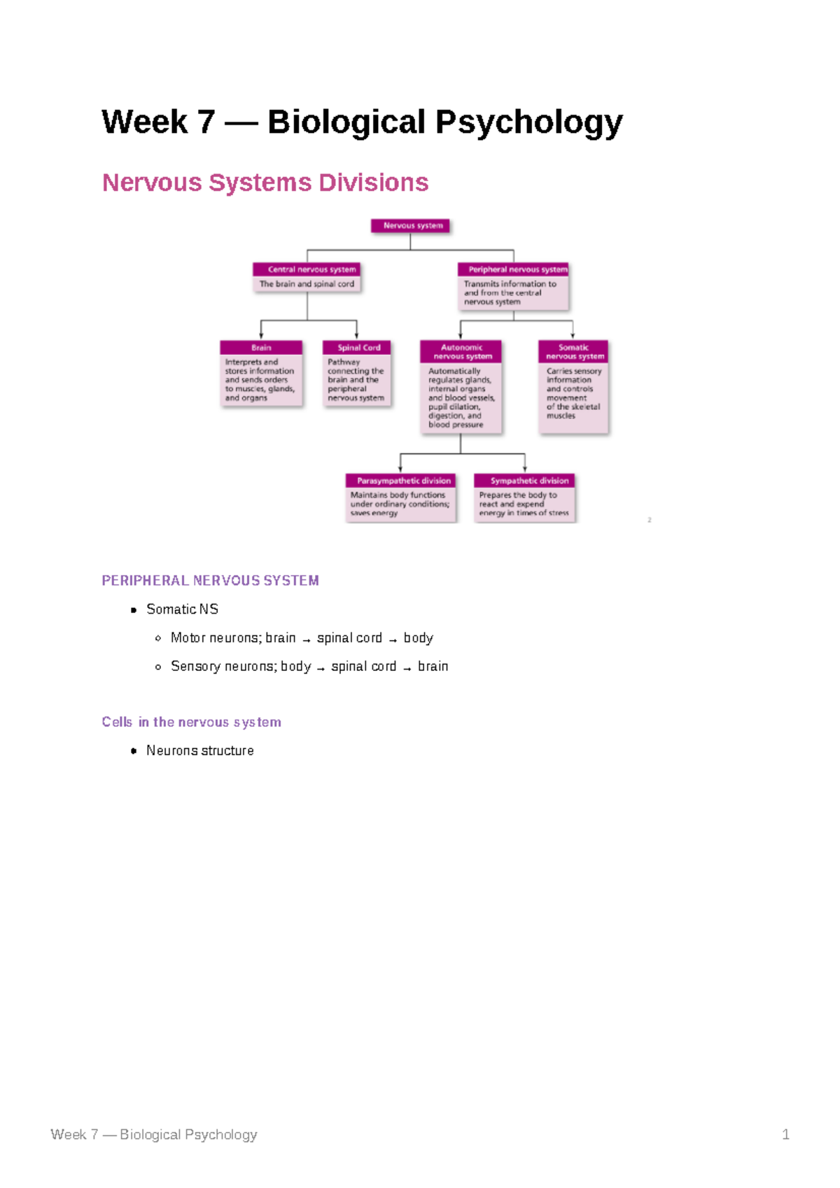 Week 7 Biological Psychology - Week 7 — Biological Psychology Nervous ...
