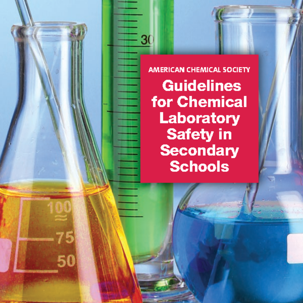 secondary safety guidelines - AMERICAN CHEMICAL SOCIETY Guidelines for ...
