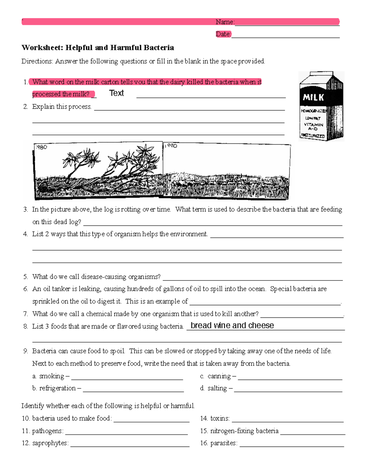 02a-Helpful and Harmful Bacteria - ` Name ...