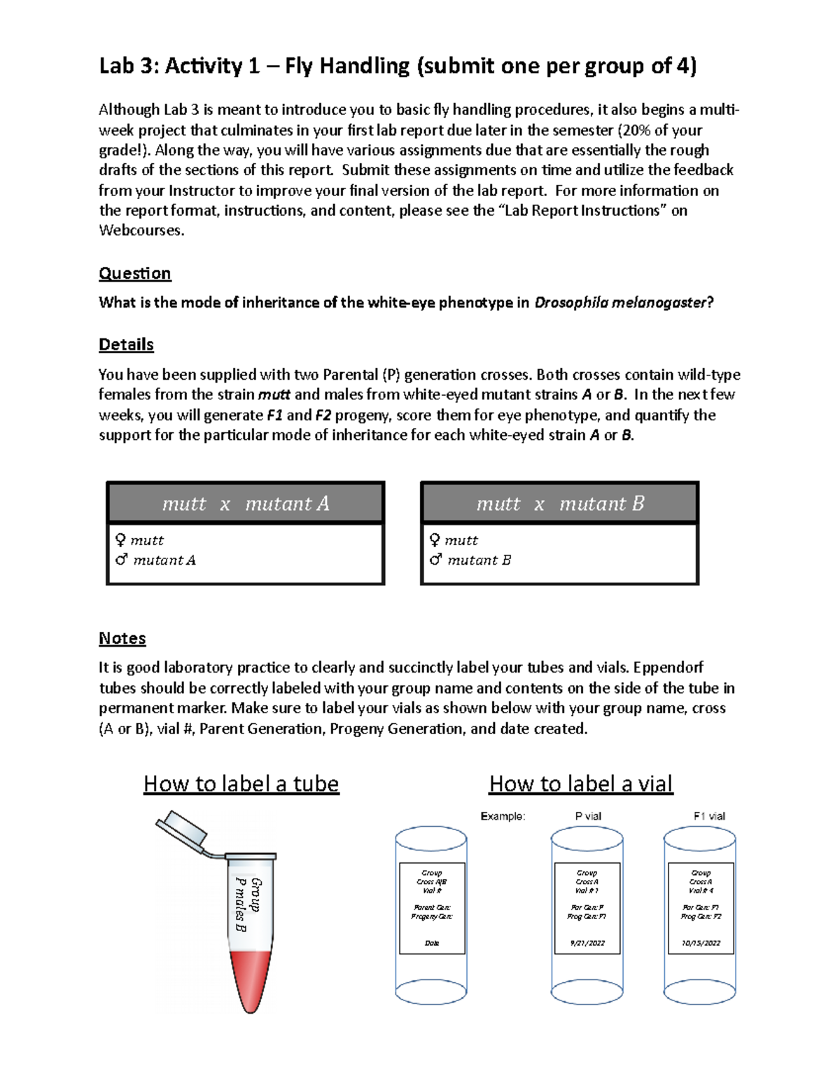 Lab 3 - Activity 1 - Fly Handling - Lab 3: Activity 1 – Fly Handling ...