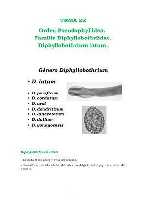 Tema 20 - Ascaris lumbricoides - TEMA 20. Ascaridida Ascaris ...