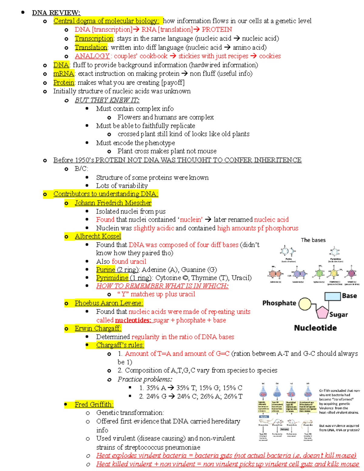 Genetics Notes Final - DNA REVIEW: o Central dogma of molecular biology ...