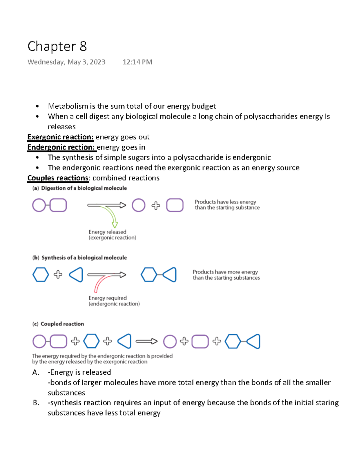 Chapter 8 - Metabolism is the sum total of our energy budget When a ...