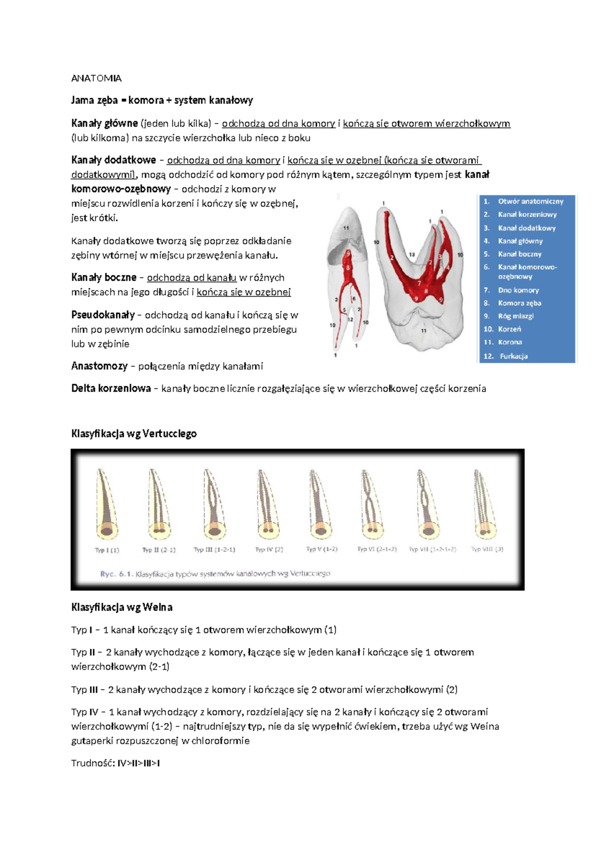 Anatomia - ANATOMIA Jama zęba = komora + system kanałowy Kanały główne ...