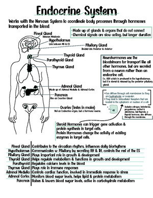 @Alma Castro Endocrine System Study Guide - TEAS 2 - Diseases ...