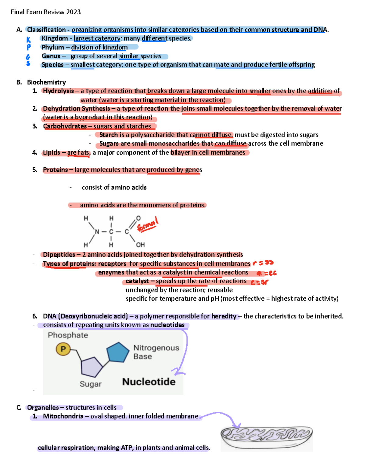 Final Exam 2024 Review - Final Exam Review 2023 A. Classification ...