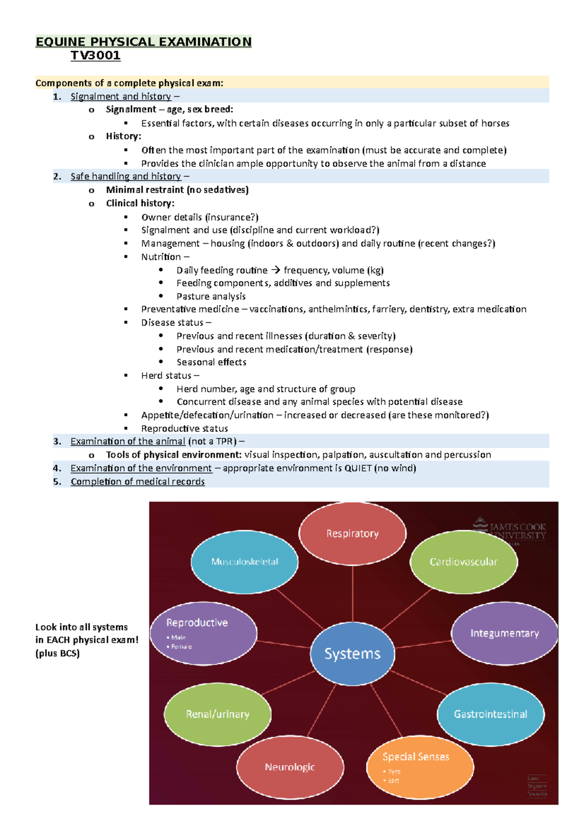 Equine Physical Exam - Revision Notes - EQUINE PHYSICAL EXAMINATION TV ...