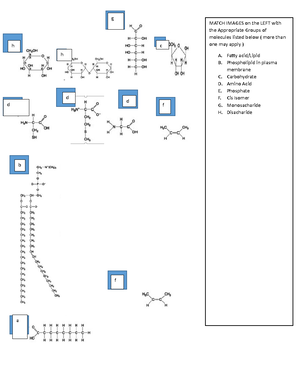 Chapter 17 Study Guide - BIO 181 General Biology Chapter 1 7 Study ...