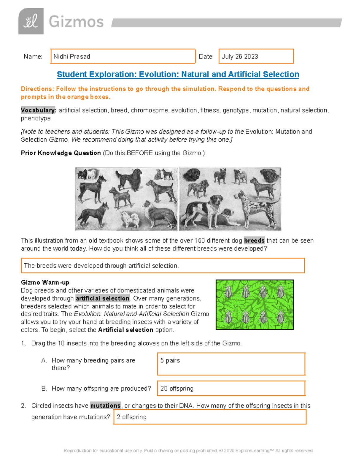 Copy of Evolution Natural Artificial SE - Name: Nidhi Prasad Date: July ...