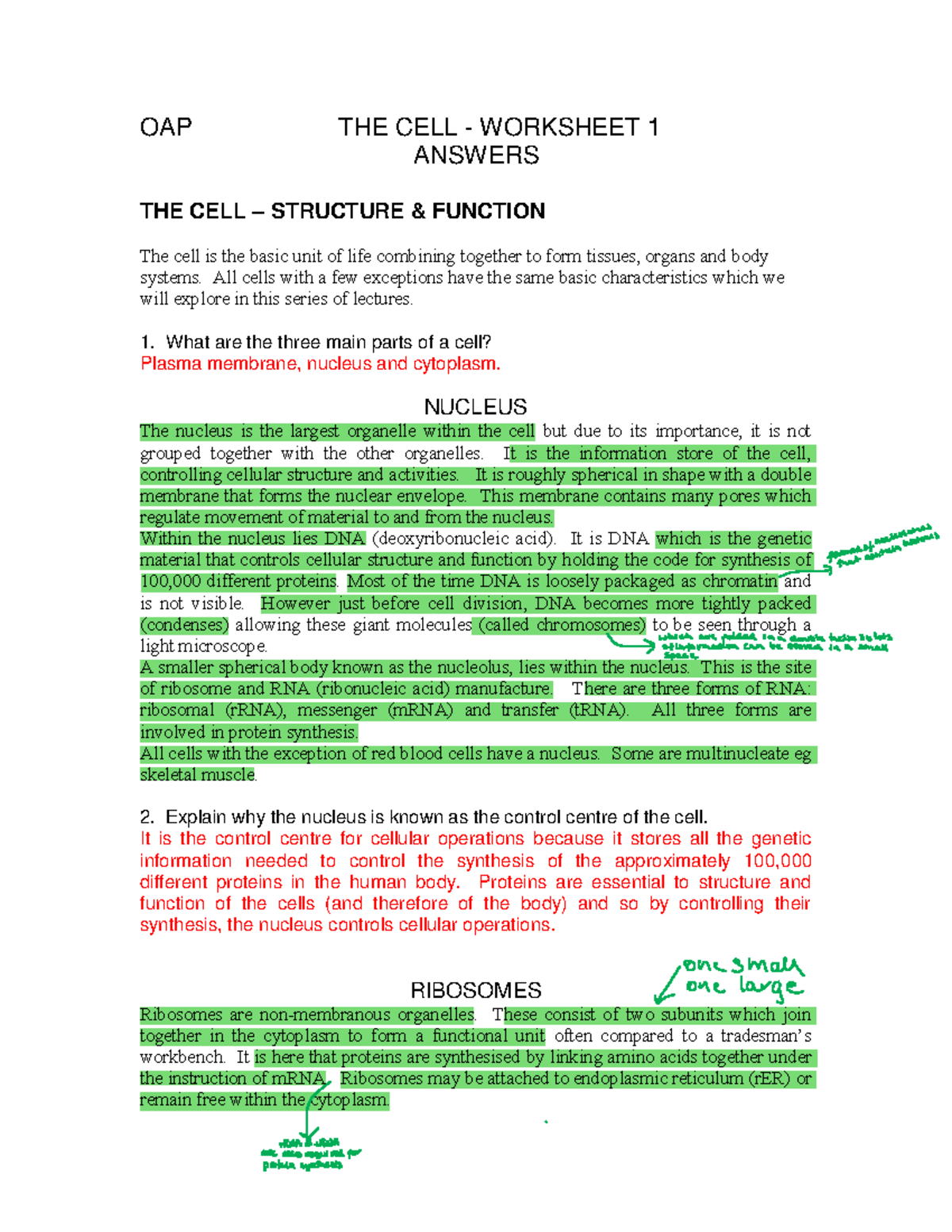 OAP Worksheet 1 - OAP THE CELL - WORKSHEET 1 ANSWERS THE CELL ...