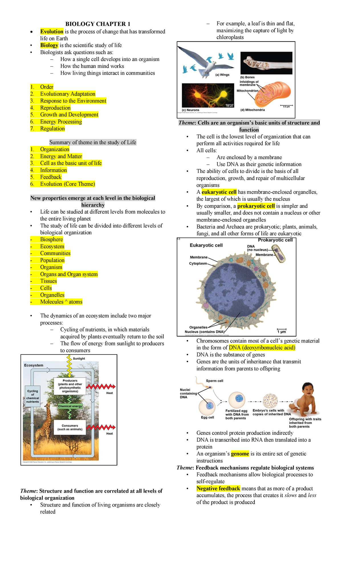 Biology Chapter 1 - BIOLOGY CHAPTER 1 Evolution is the process of ...