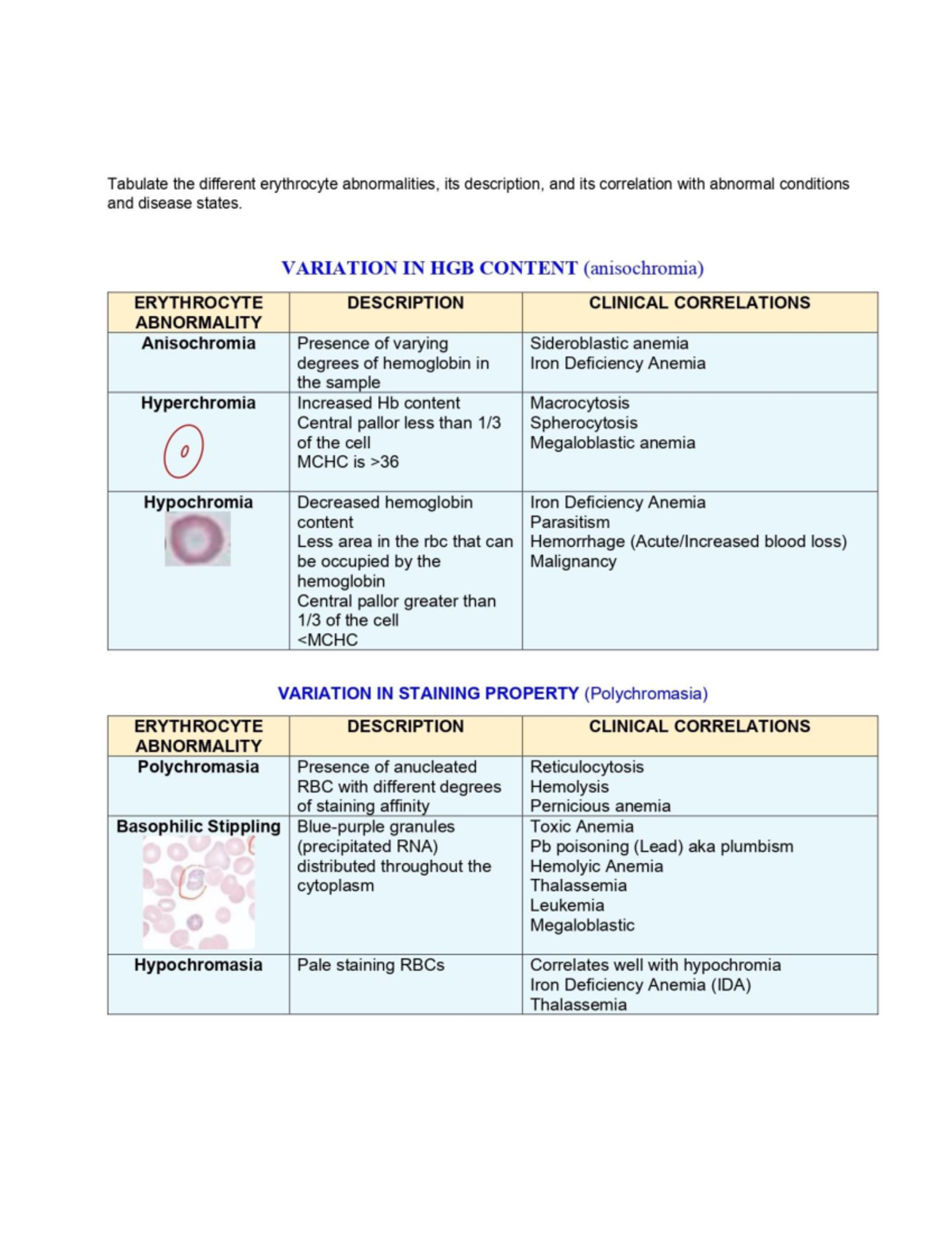 Red Blood Cell Abnormalities - Medical Technology - Studocu