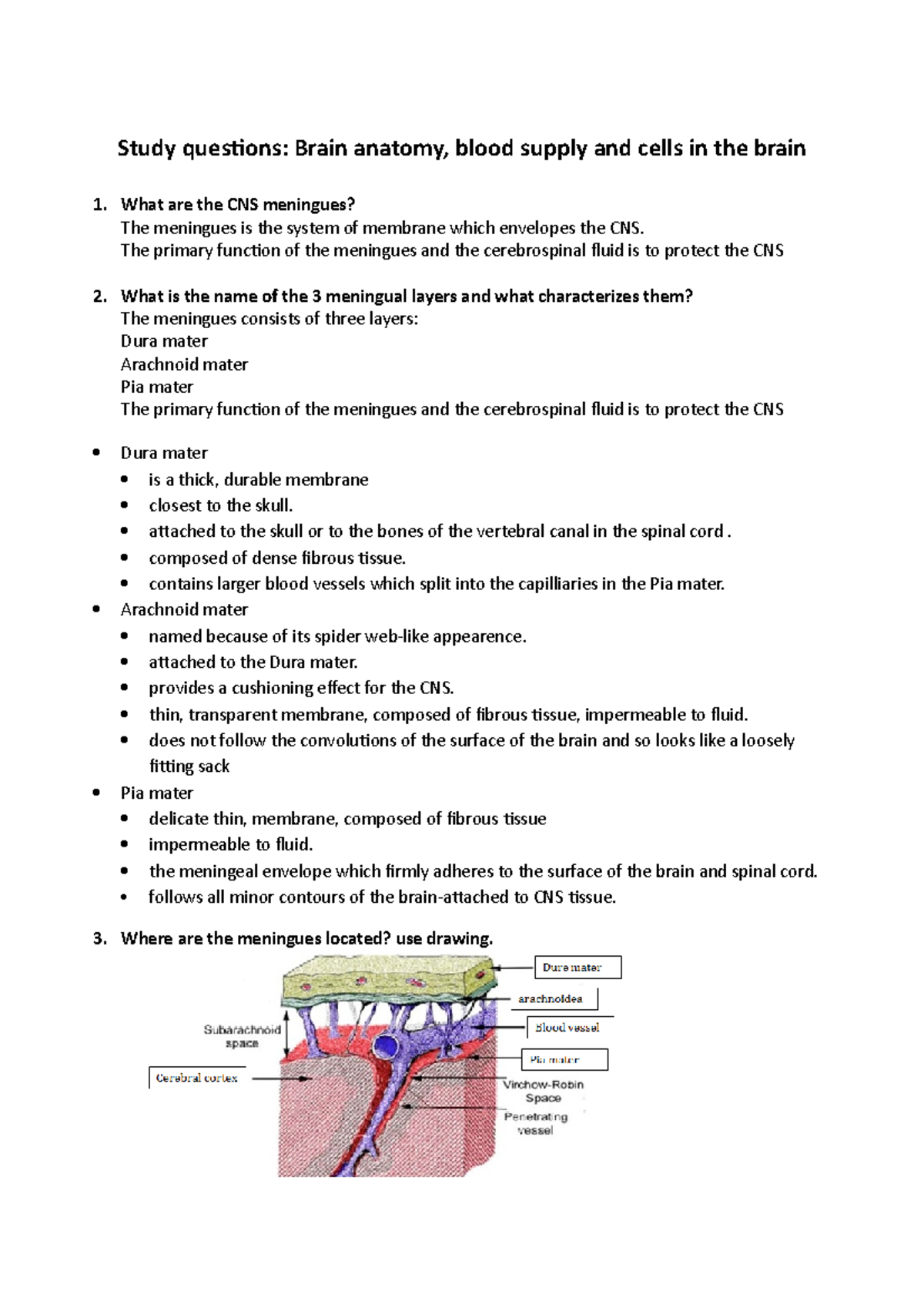 Study questions brain, anatomy and cells-svar - Study questions: Brain ...