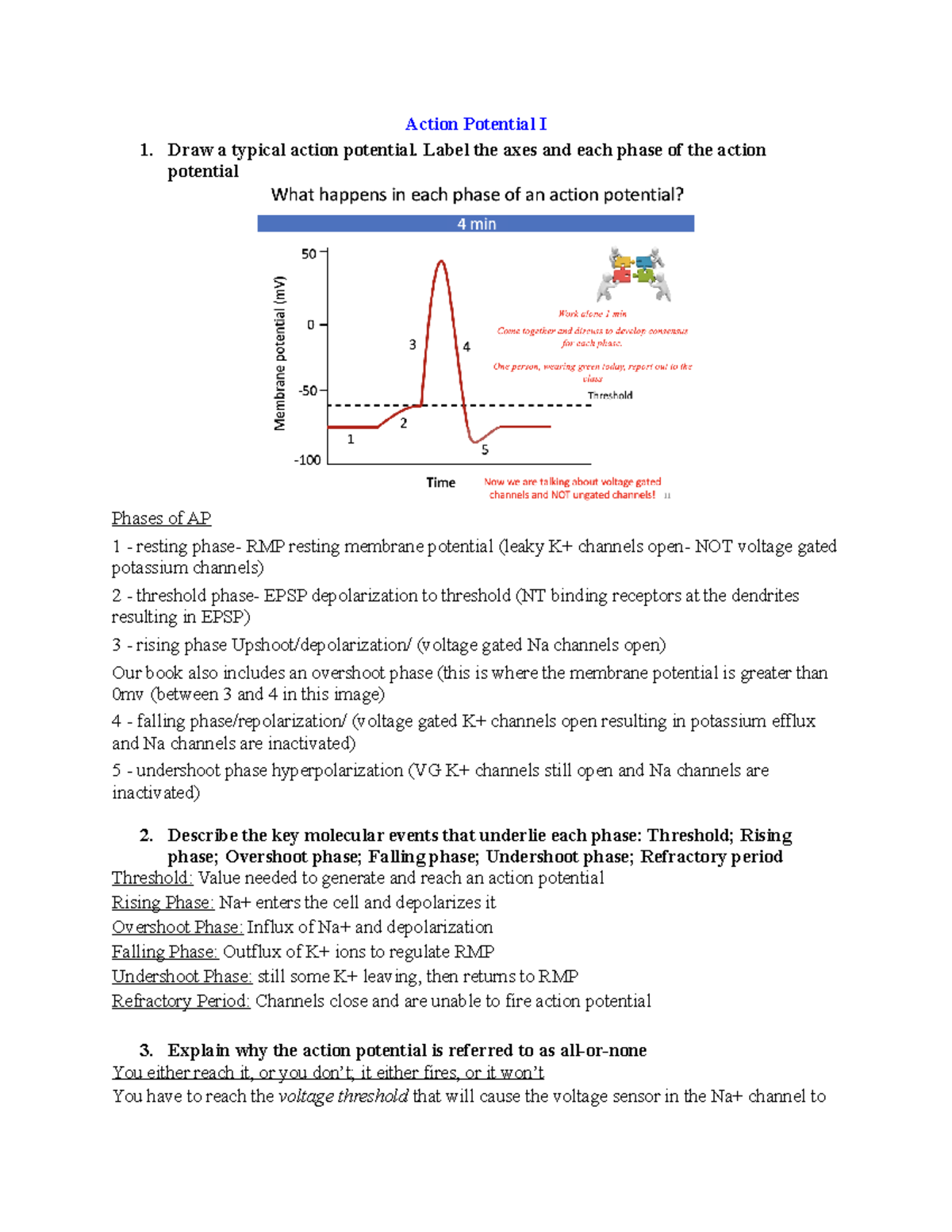 Action Potential I - Action Potential I Draw a typical action potential ...
