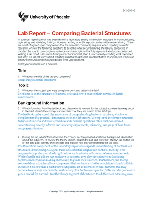 Sci250 v5 wk1 the aseptic technique lab report - SCI/250 v Aseptic ...