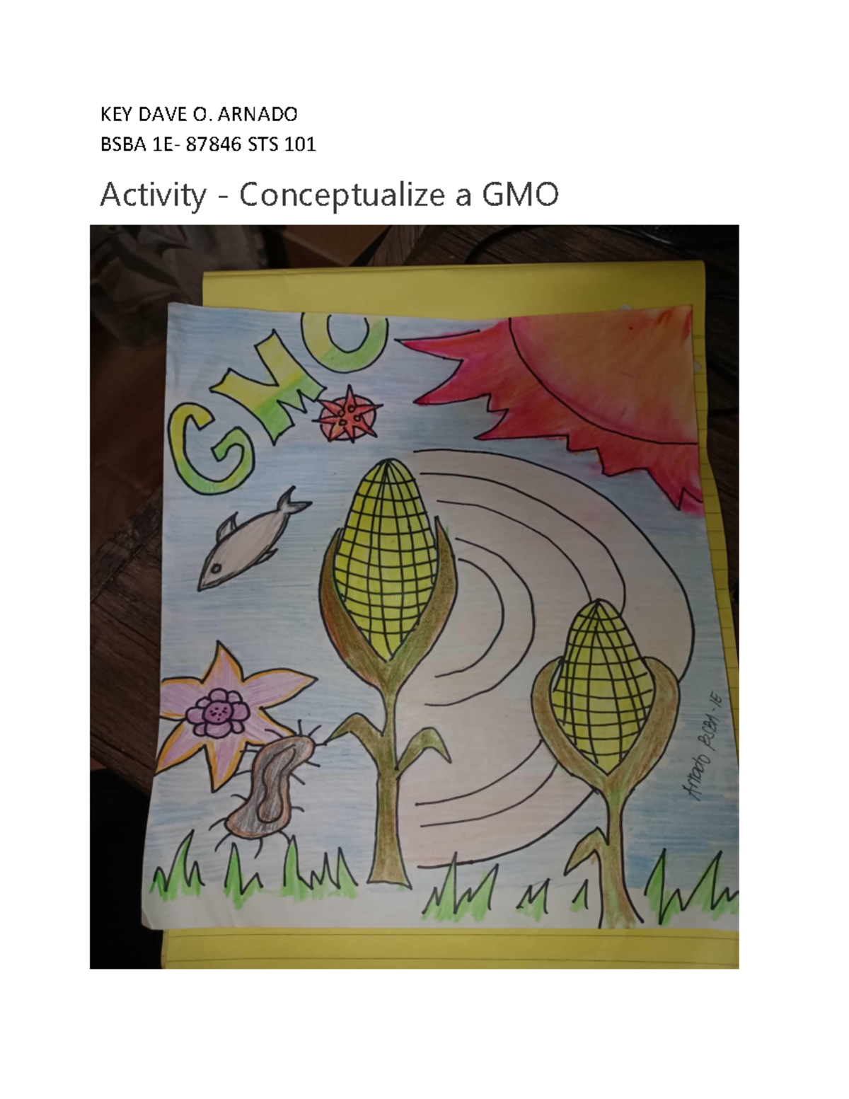 Arnado-Bsba-1e sts 101 87846 Activity - Conceptualize a GMO - KEY DAVE O. ARNADO BSBA 1E- 87846 ...
