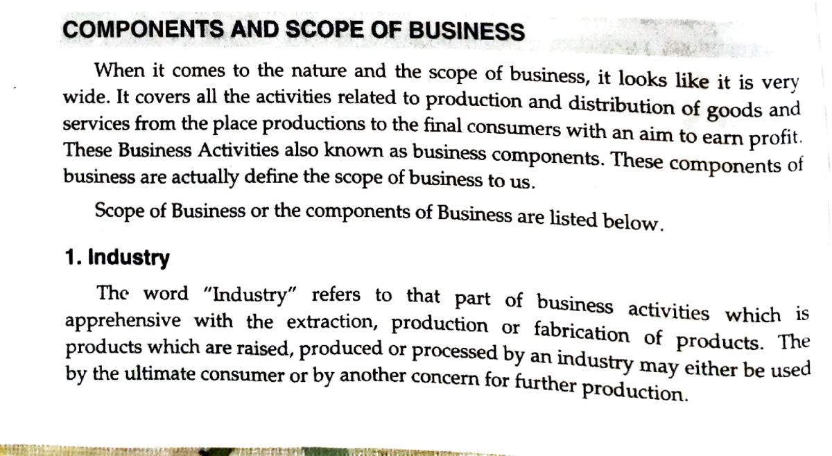 Components And Scope of Business - COMPONENTS AND SCOPE OF BUSINESS ...