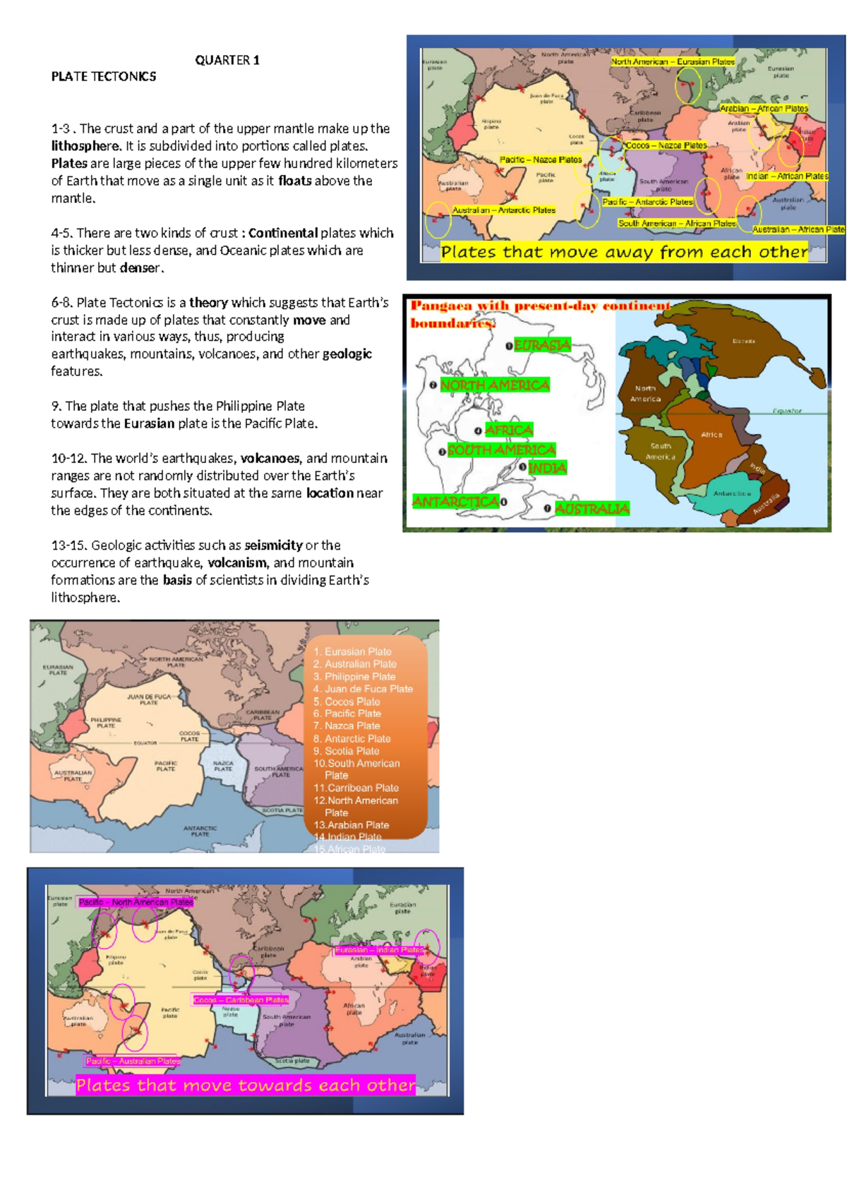 Cell Division Mendelian Genetics Study Guide - QUARTER 1 PLATE ...