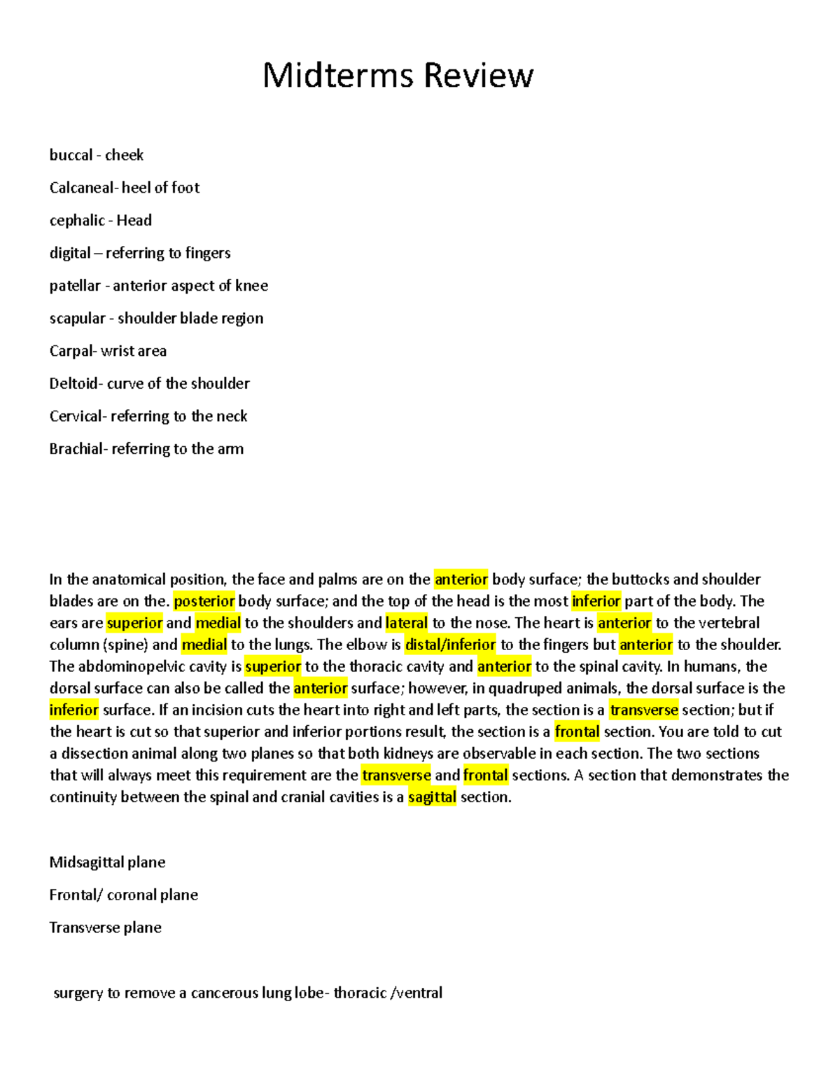 Midterms Review - ur mom - Midterms Review buccal - cheek Calcaneal ...