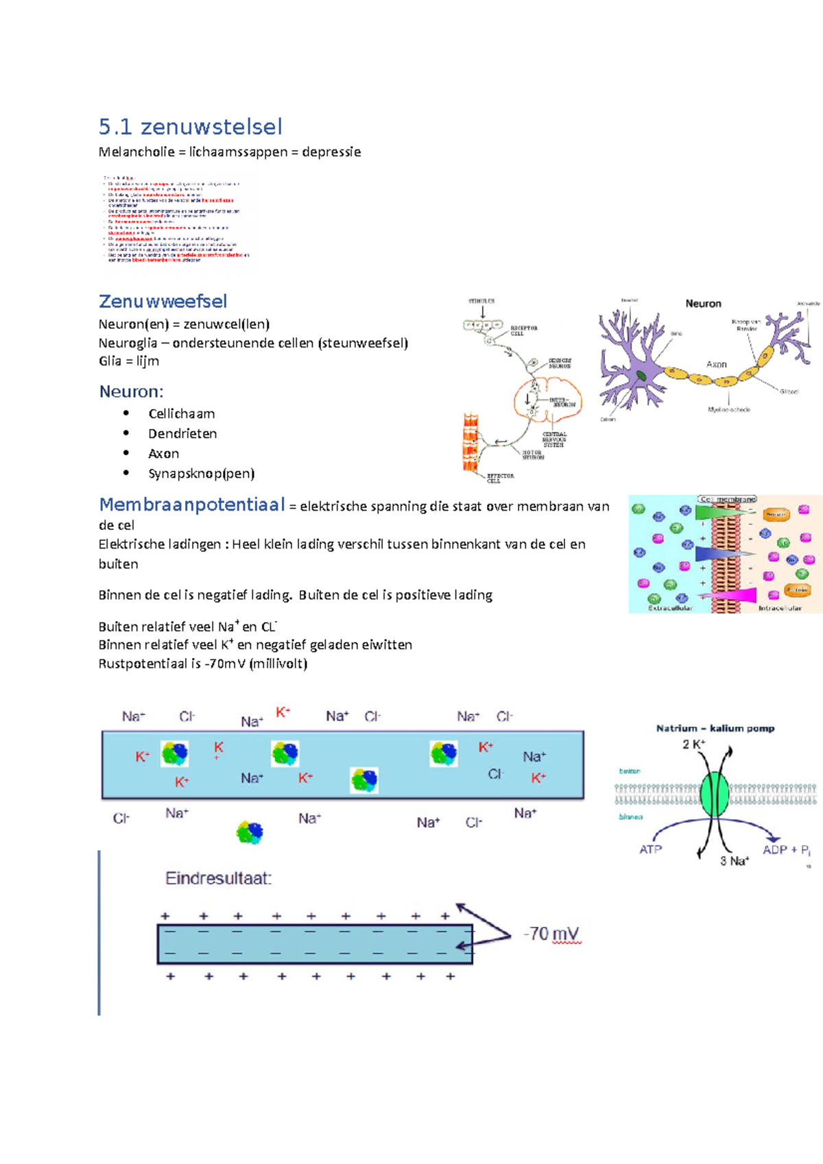 Hoorcollege MB BS 5 - 5 zenuwstelsel Melancholie = lichaamssappen ...