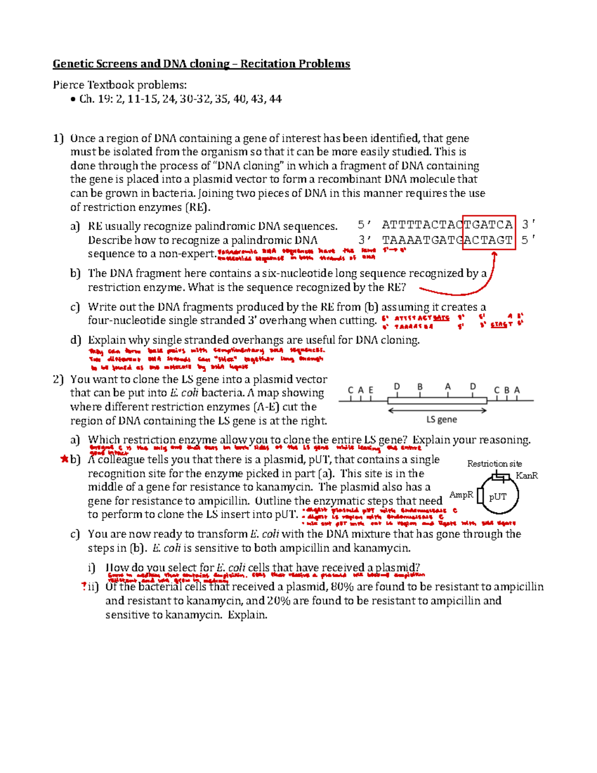 Genetic Engineering Problems - Genetic Screens and DNA cloning ...