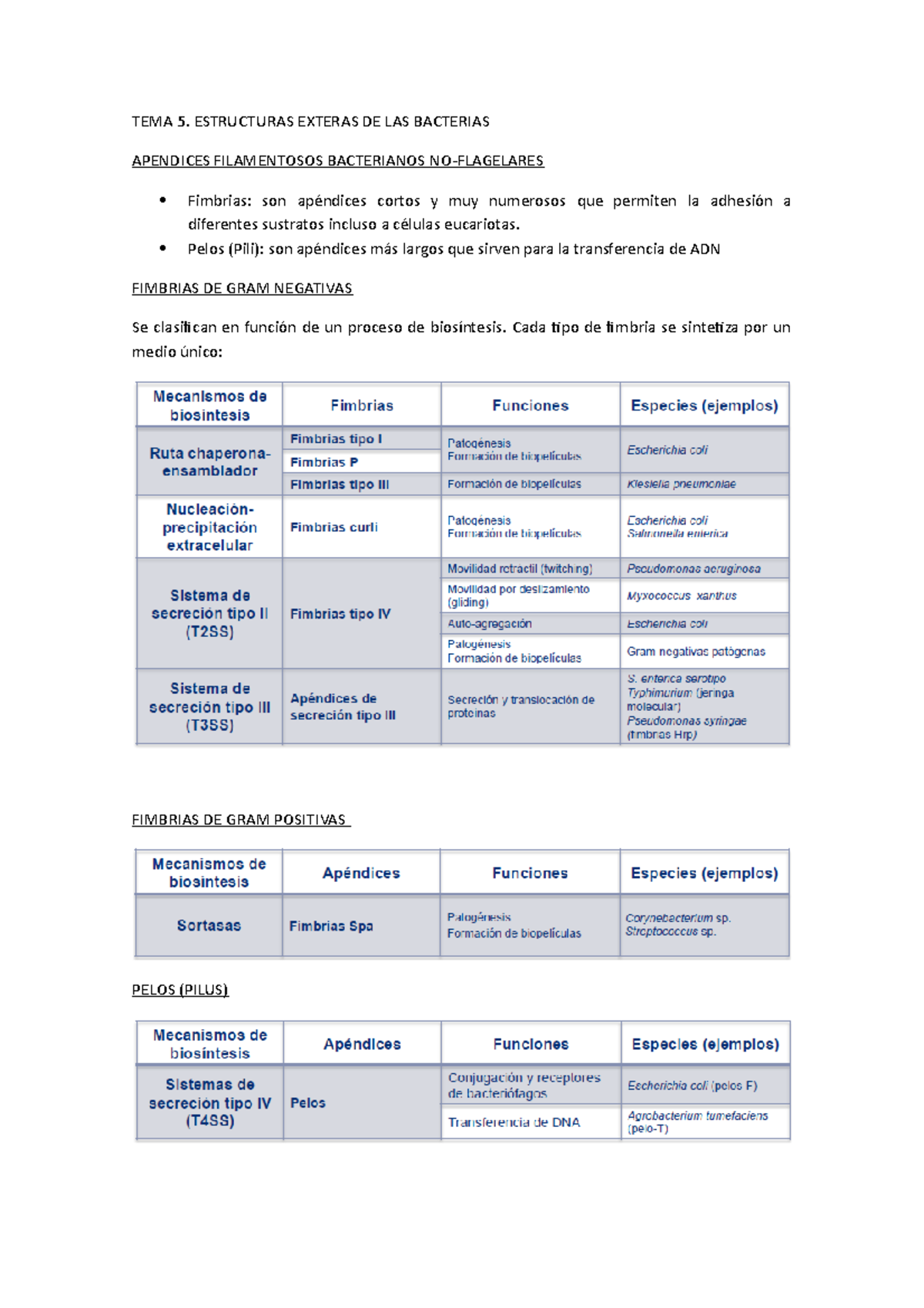 TEMA 5. Estructuras Exteras DE LAS Bacterias - TEMA 5. ESTRUCTURAS EXTERAS DE LAS BACTERIAS ...
