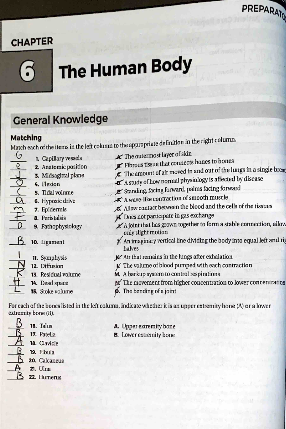 Workbook Chapter 6 - CHAPTER PREPAR~~ The Human Body era nowledge ...