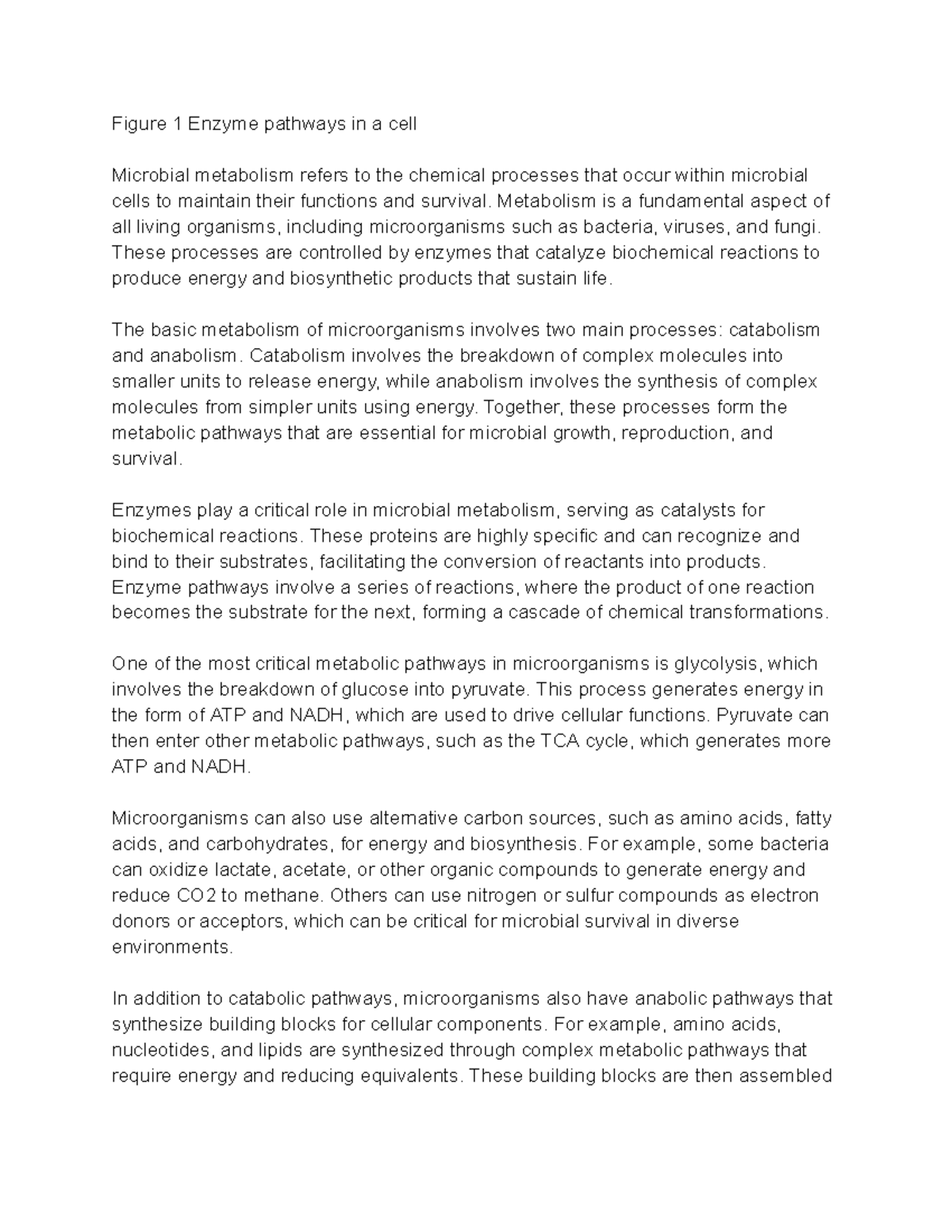 Figure 1 Enzyme pathways in a cell - Metabolism is a fundamental aspect of all living organisms ...