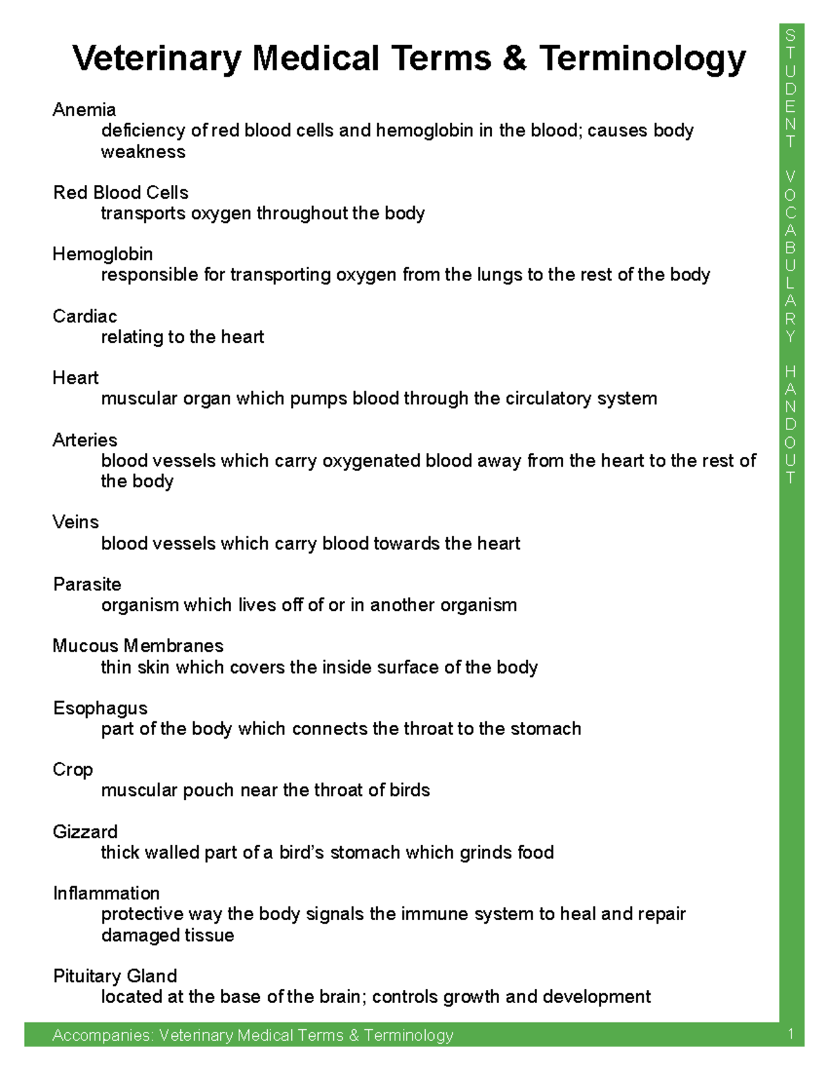 Vocabulary Handout - notes - S T U D E N T V O C A B U L A R Y H A N D ...