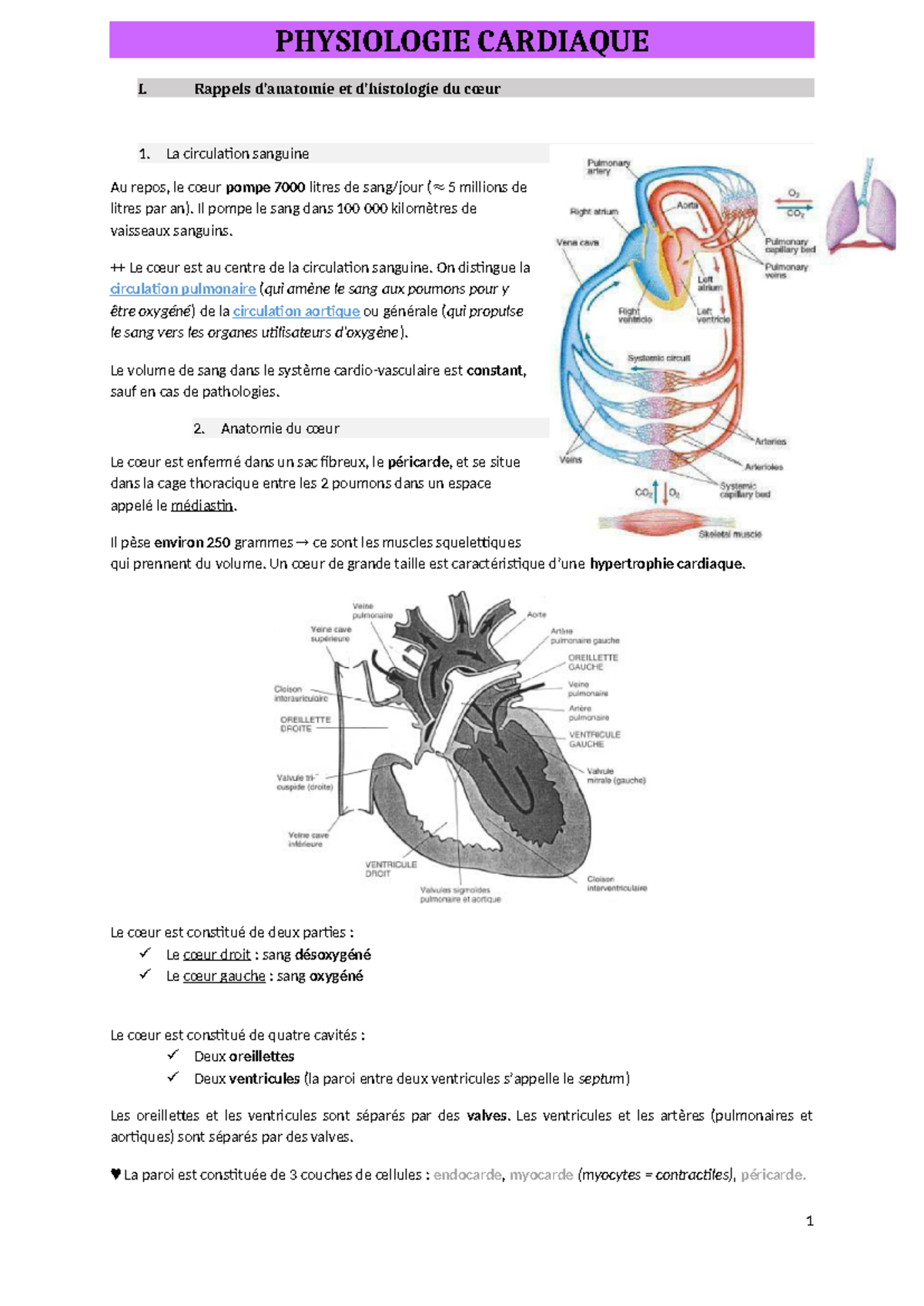 Fiche 7a - Physiologie Cardiaque - PHYSIOLOGIE CARDIAQUE I. Rappels d ...