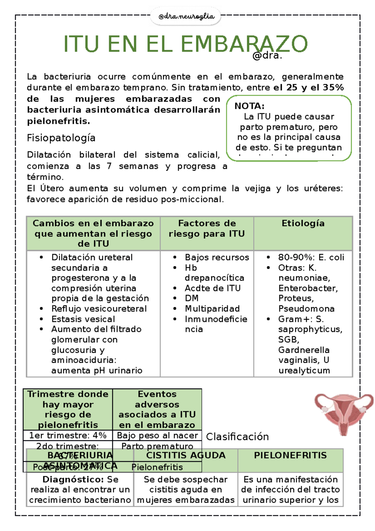 4 ITU EN EL Embarazo Fisiopatologia Diagn stico Y Tratamiento ITU