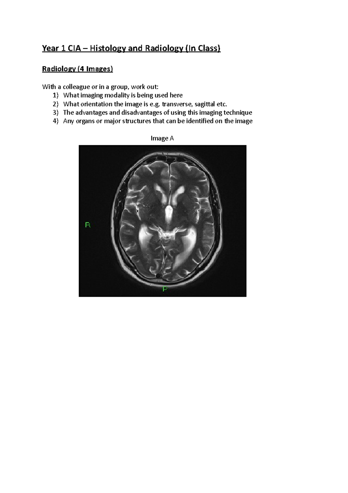 Year 1 CIA - In Class - Year 1 CIA – Histology and Radiology (In Class ...