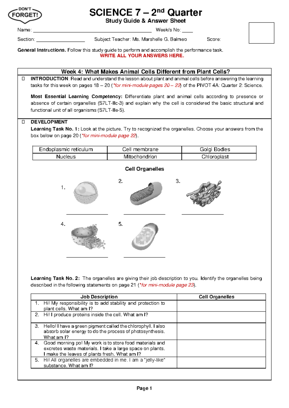 Q2-G7-Week-4-What Makes Animal Cells Different from Plant Cells ...