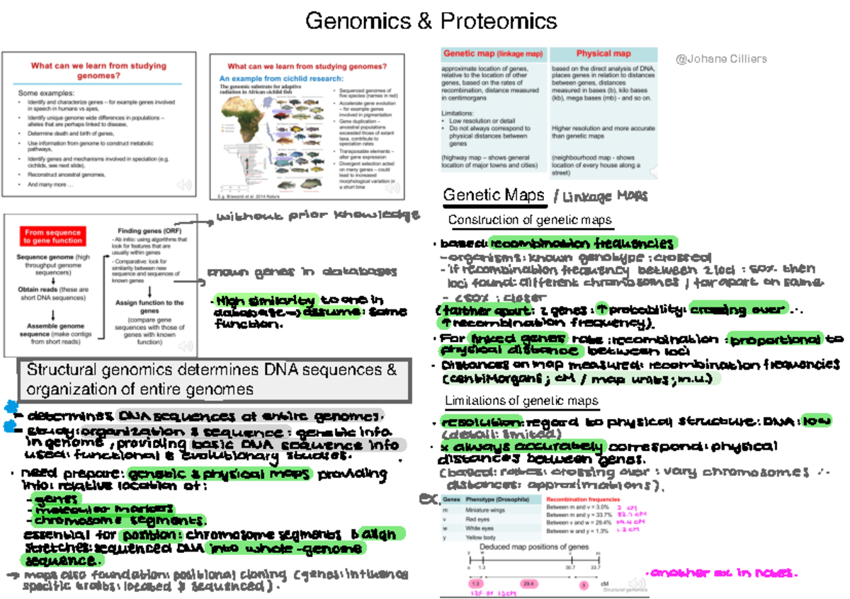 SU2 - lecture - Genomics & Proteomics ####### Structural genomics determines DNA sequences ...