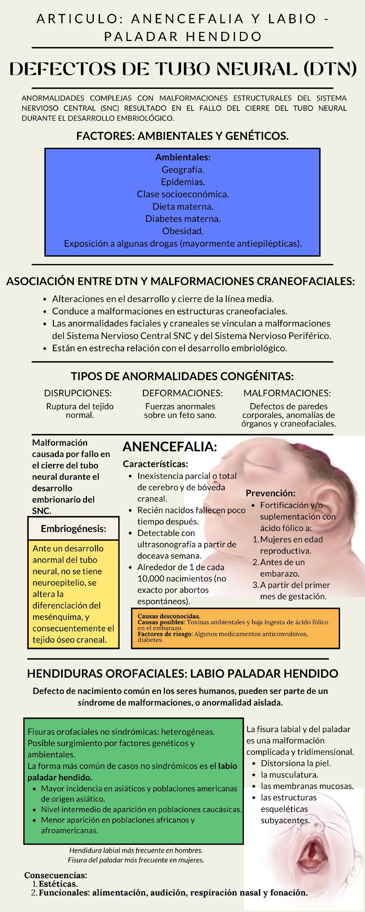 Infografía sobre Defectos del Tubo Neural - ARTICULO: ANENCEFALIA Y ...