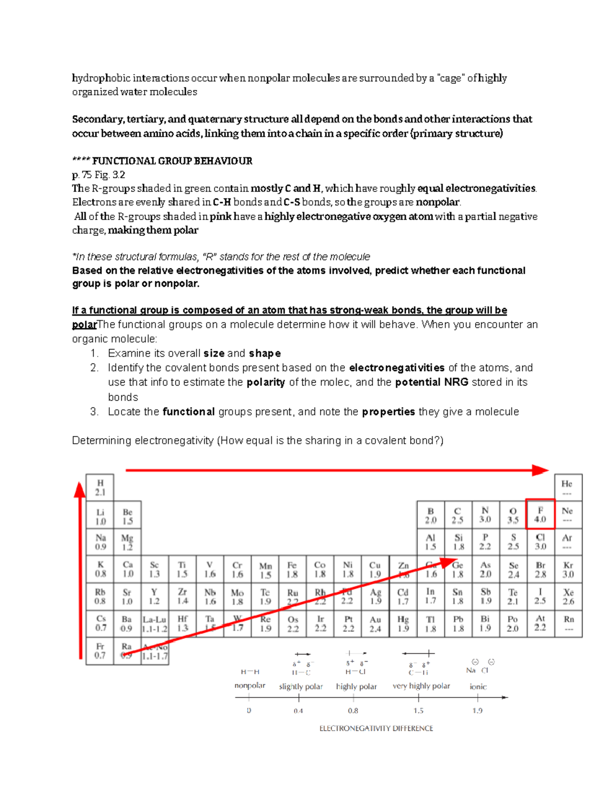 Functional Groups and their properties - BLG143 - hydrophobic ...