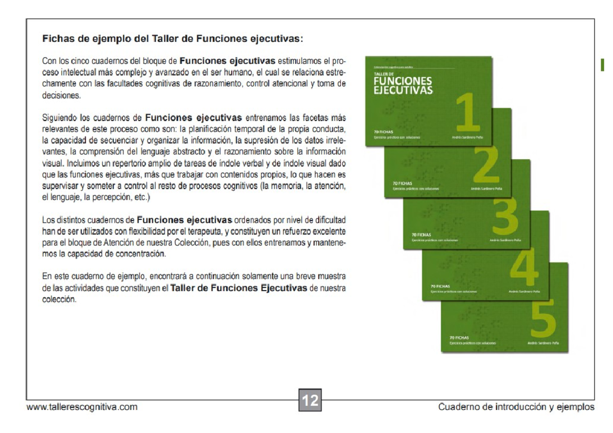 Taller de Funciones Ejecutivas - Siguiendo los cuadernos de Funciones ...