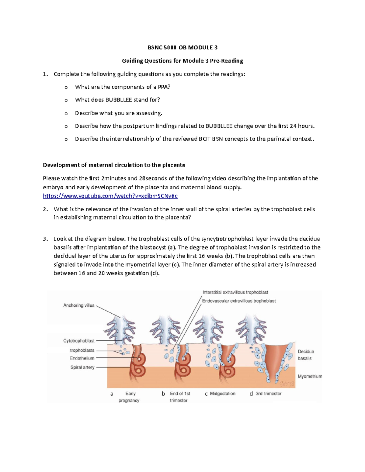 BSNC5000 OB3 Guiding Questions - BSNC 5000 OB MODULE 3 Guiding ...