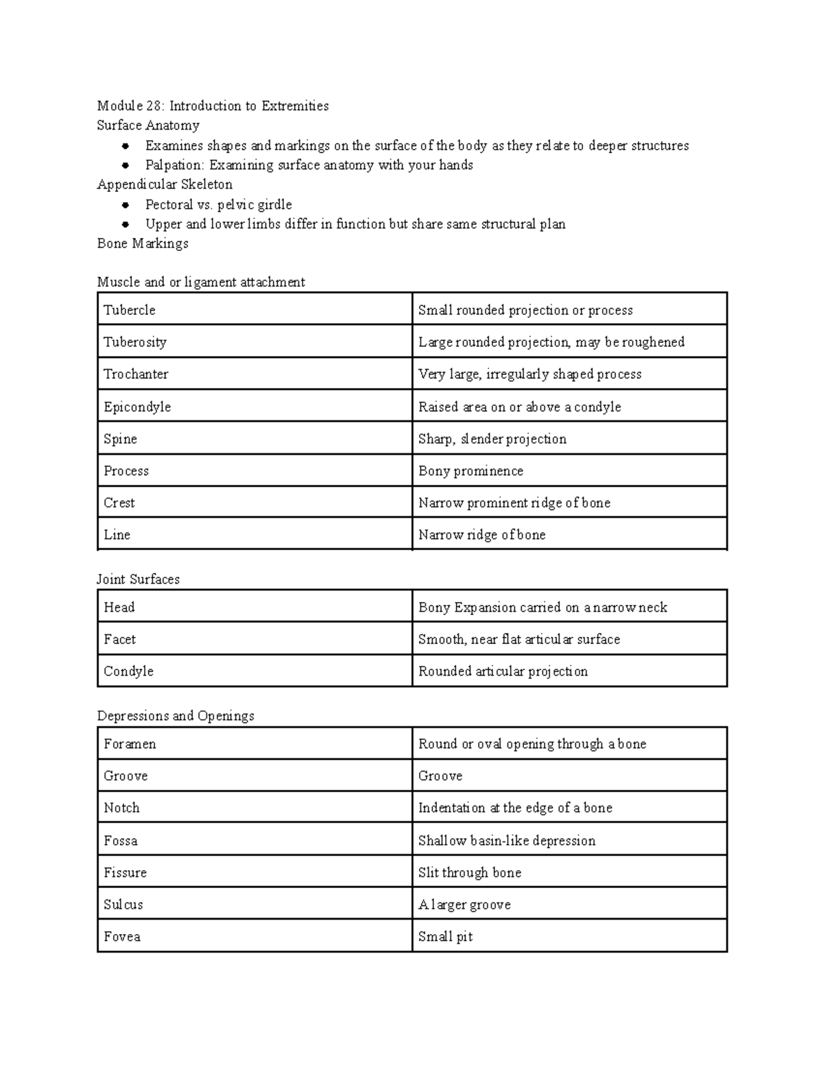 Unit 4 Exam - Unit 4 - Module 28: Introduction to Extremities Surface Anatomy Examines shapes ...
