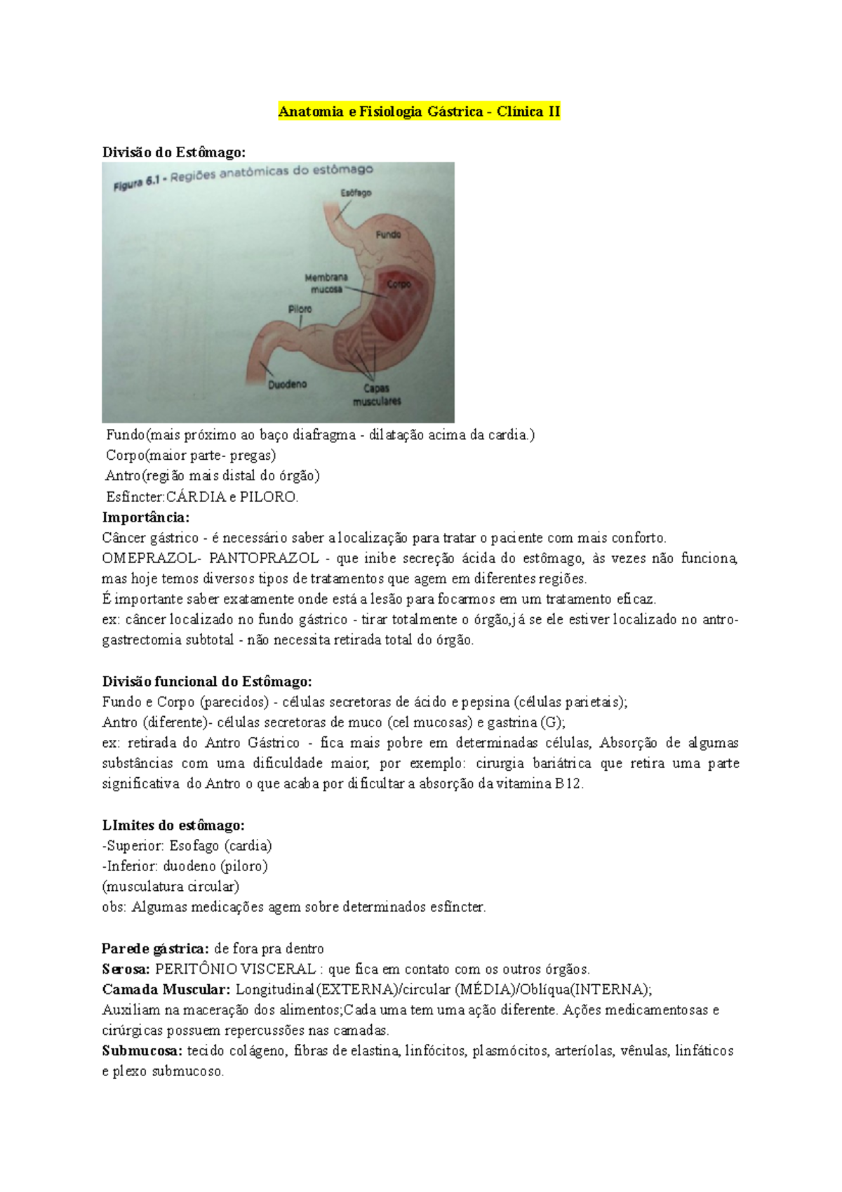 Anatomia e Fisiologia Gástrica (Gastroenterologia) Clínica - Clínica ...