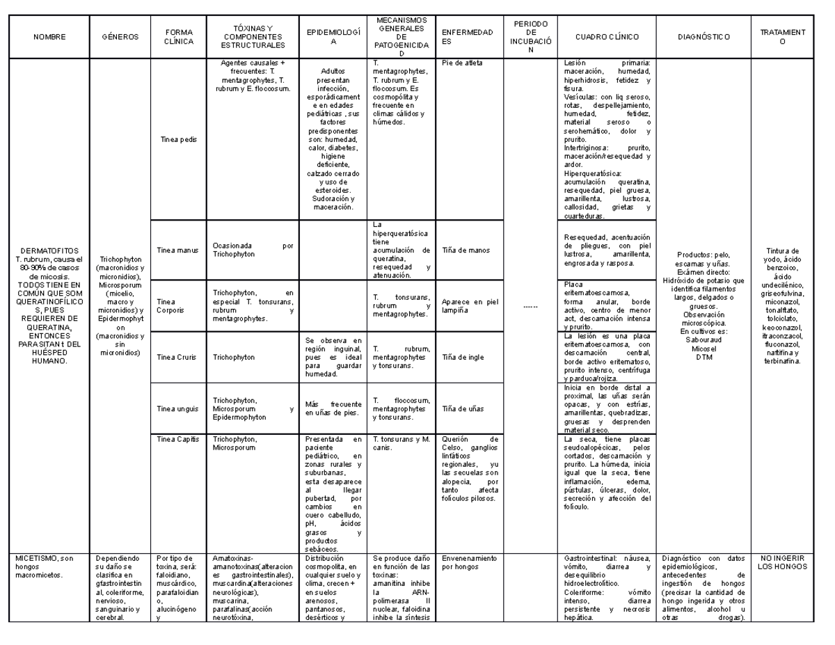 Tabla Hongos - Estes es un compendio completamente afortunado para ...