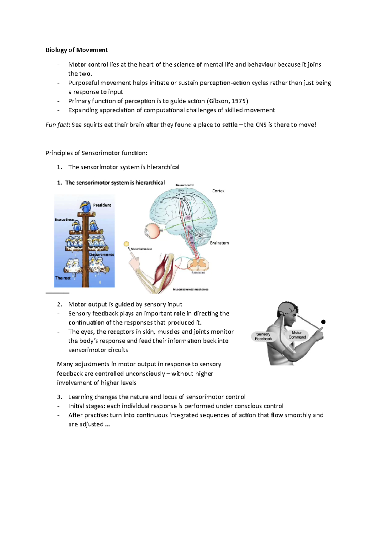 Biology of Movement - Biology of Movement Motor control lies at the ...