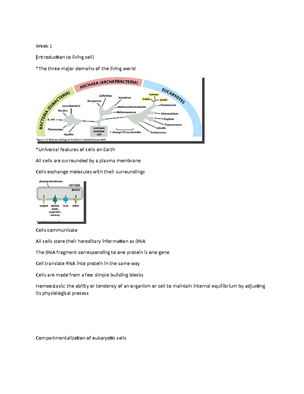 Human body note - it's a lecture note - Week 1 [Introduction to living ...