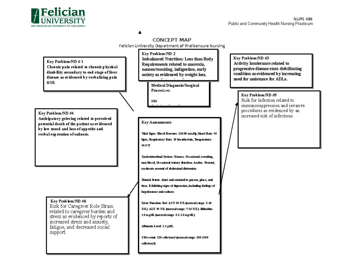NURS 486 Concept Map - Public and Community Health Nursing Practicum ...