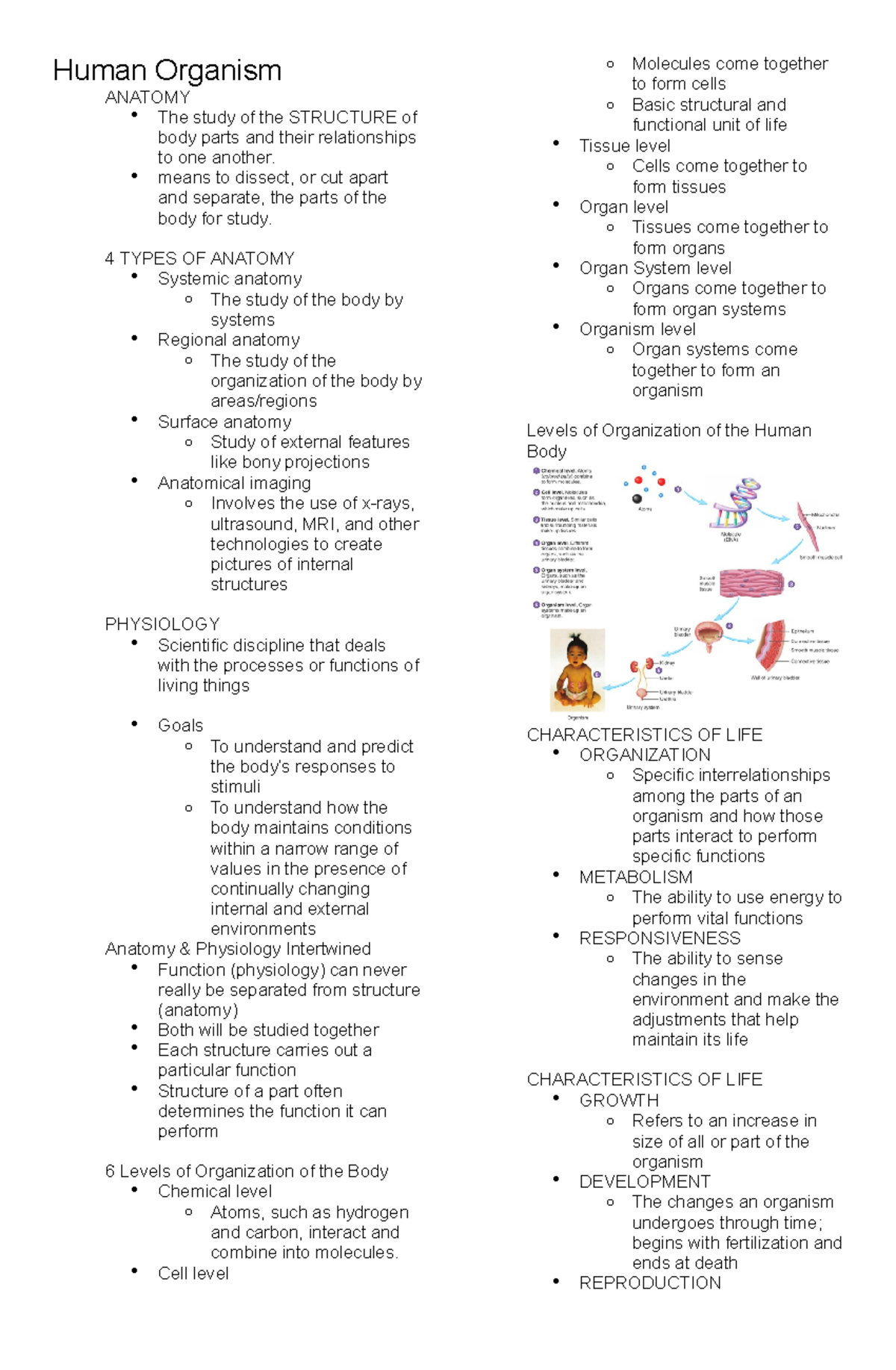 Human Organism - Human Organism ANATOMY The study of the STRUCTURE of ...