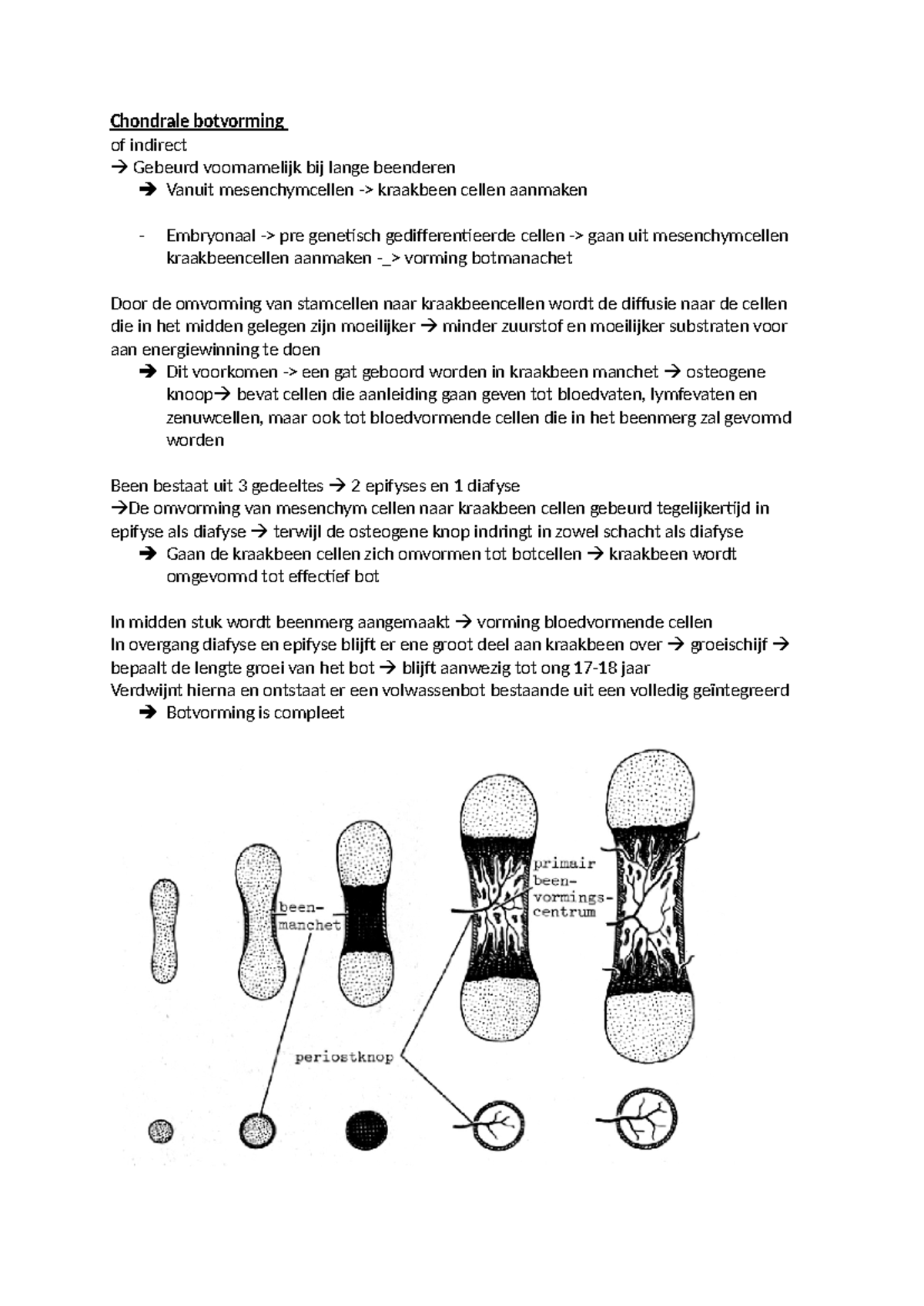 Chondrale botvoming - Studocu