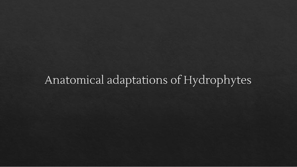 3 Anatomical adaptations of Hydrophytes - Anatomical adaptations of ...